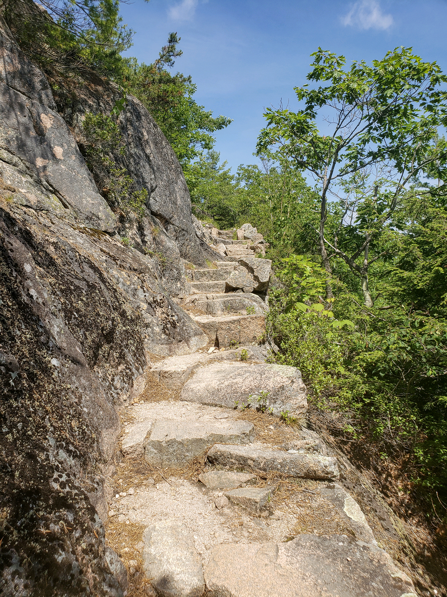 Dorr Mountain via Emery & Schiff Path in Acadia National Park